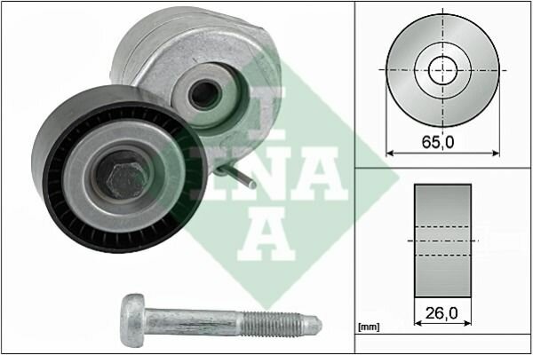 Ролик-Натяжитель приводного ремня INA 534 0607 10
