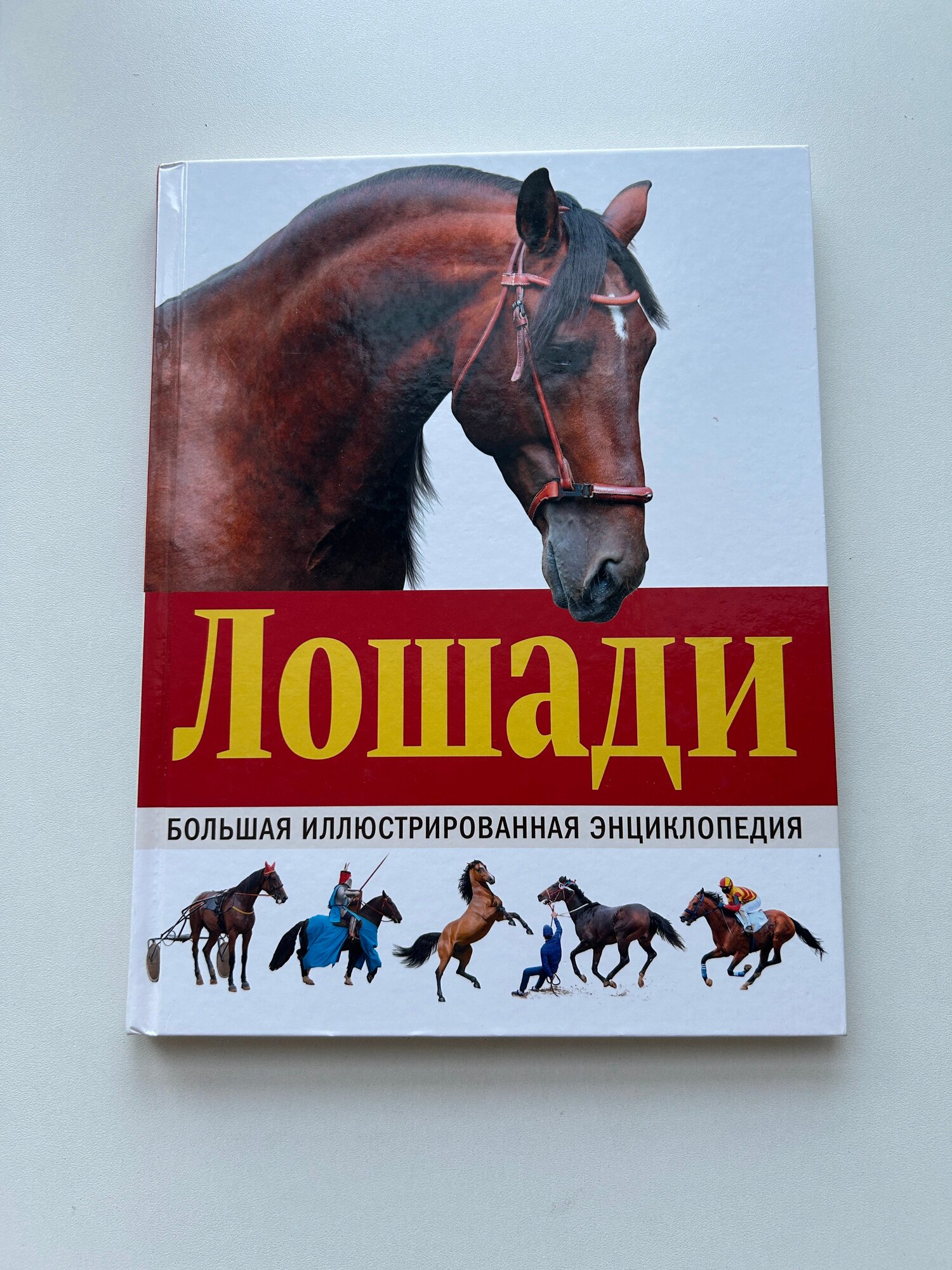 Книга "Лошади. Большая иллюстрированная энциклопедия". Издание 2021 года (second-hand книга)
