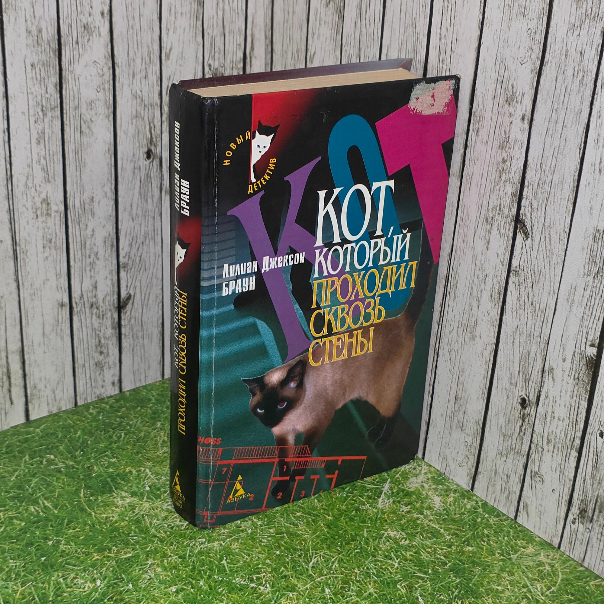 Книга " Кот, который проходил сквозь стены "