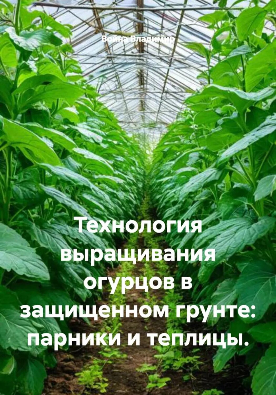 Технология выращивания огурцов в защищенном грунте: парники и теплицы [Цифровая книга]