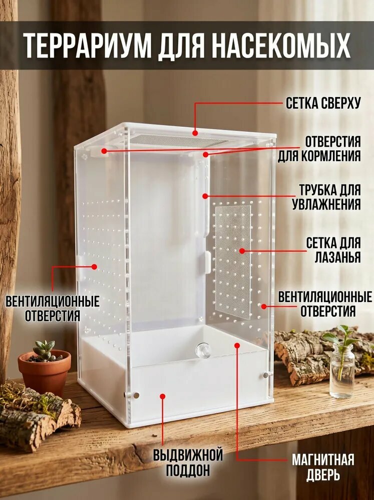 Экологичный контейнер для насекомых и наблюдения