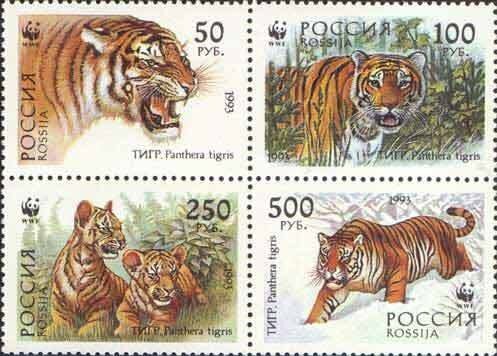 1993-061-64 Сцепка (4 м) Россия Уссурийский тигр Уссурийский тигр III O