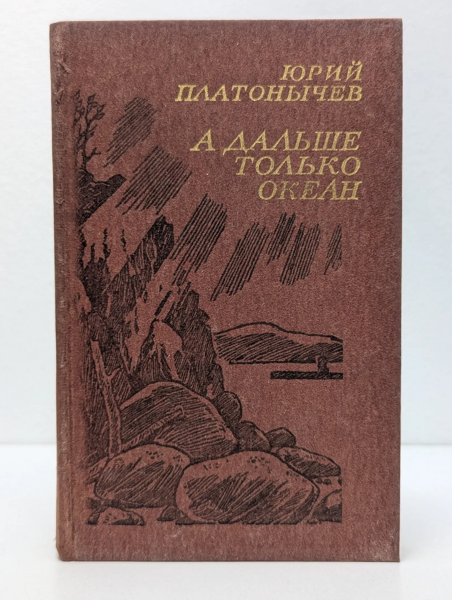 А дальше только океан Платонычев Юрий Федорович 1985