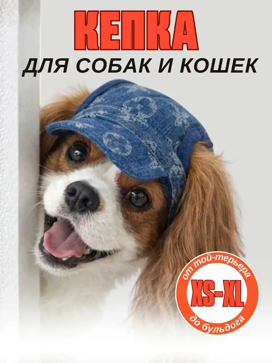Кепка для собак LV Louis Vuitton