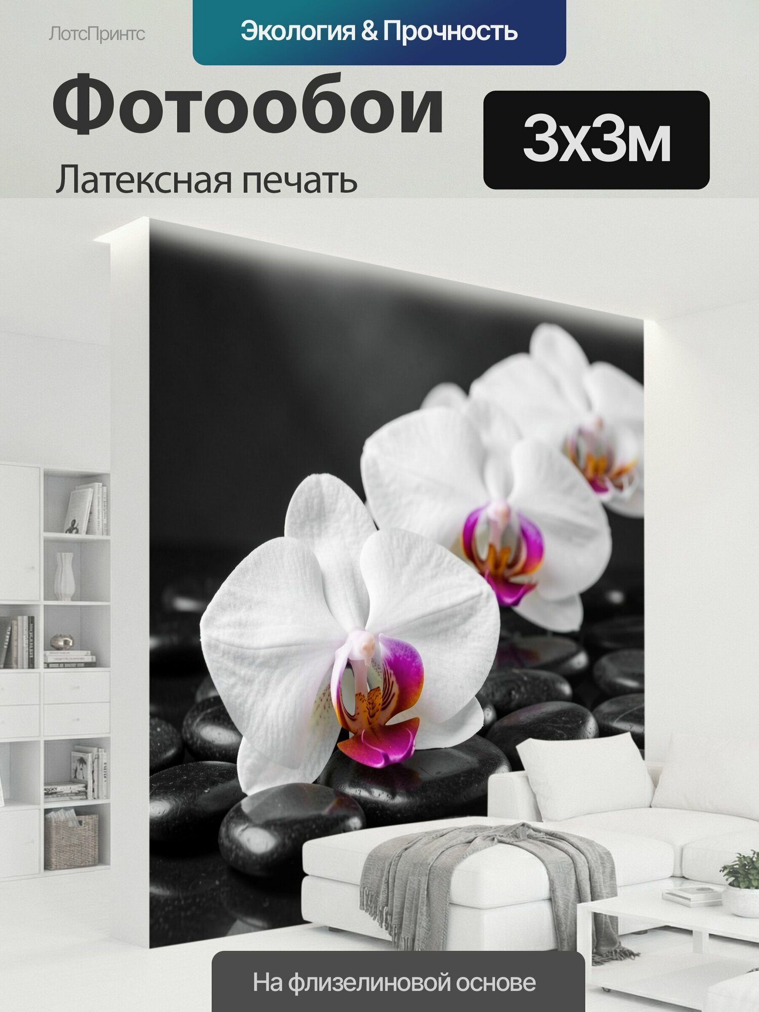 Фотообои моющиеся ударопрочные "Белые орхидеи на черных камнях. Элегантная флористическая композиция с нежными фаленопсисами, гладкой галькой и." 300x300 см. латексная печать