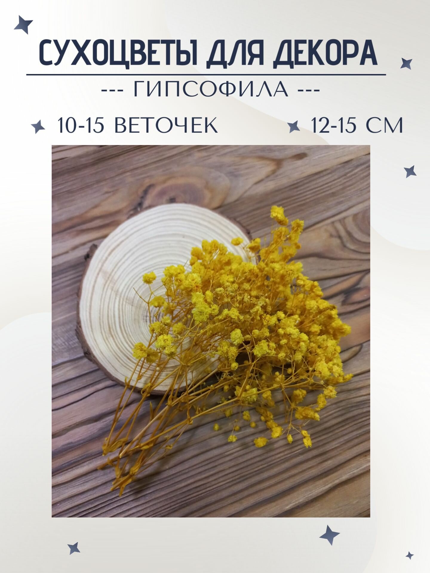 Сухоцветы гипсофила (10-15 веточек)