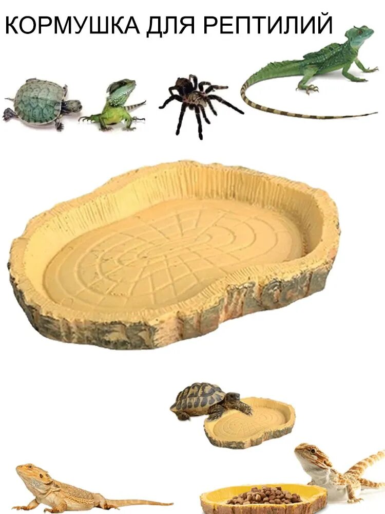 Кормушка поилка для ящериц, пауков, игуан, хамелеонов, рептилий и черепах для террариума и аквариума