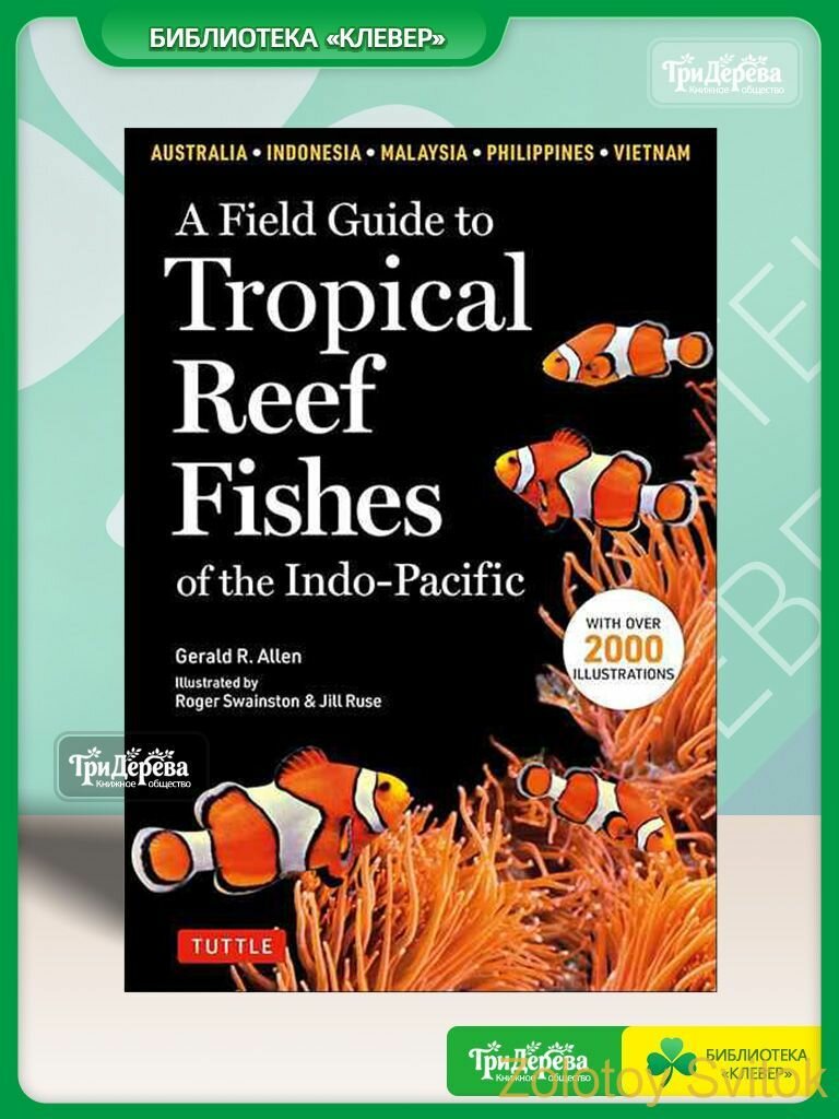 Книга Gerald R Allen A Field Guide to Tropical Reef Fishes, мягкая обложка, на английском