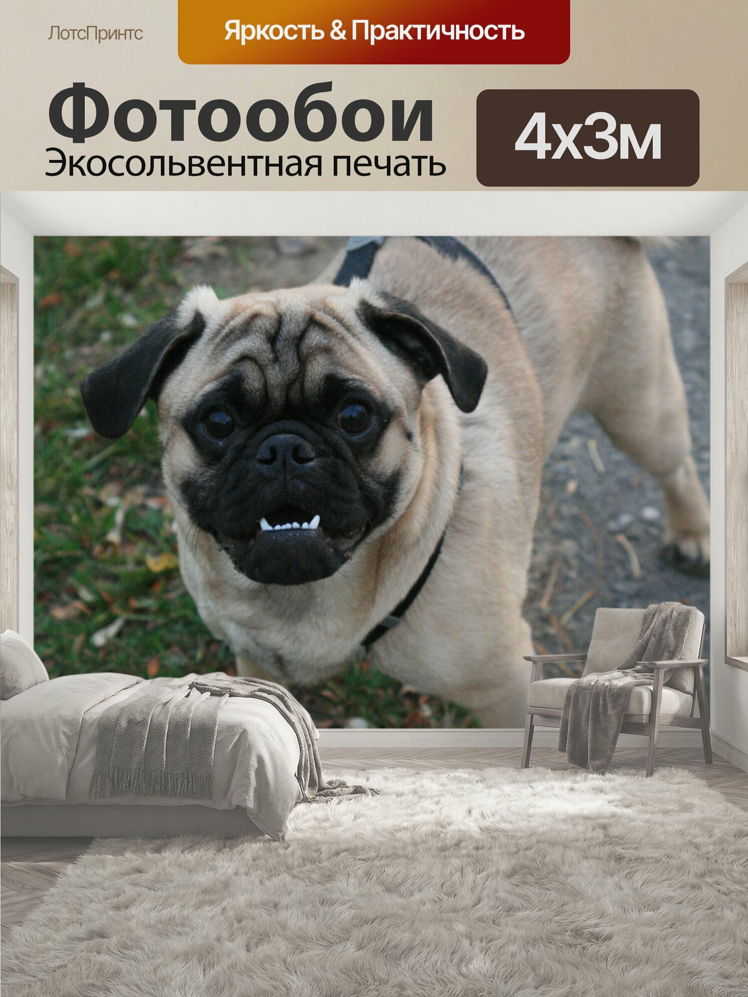 Фотообои "Мопс собака Cutest Маленький мопс щенок собаки собака мопс щенок милый животные" 400x300 см. экосольвентная печать