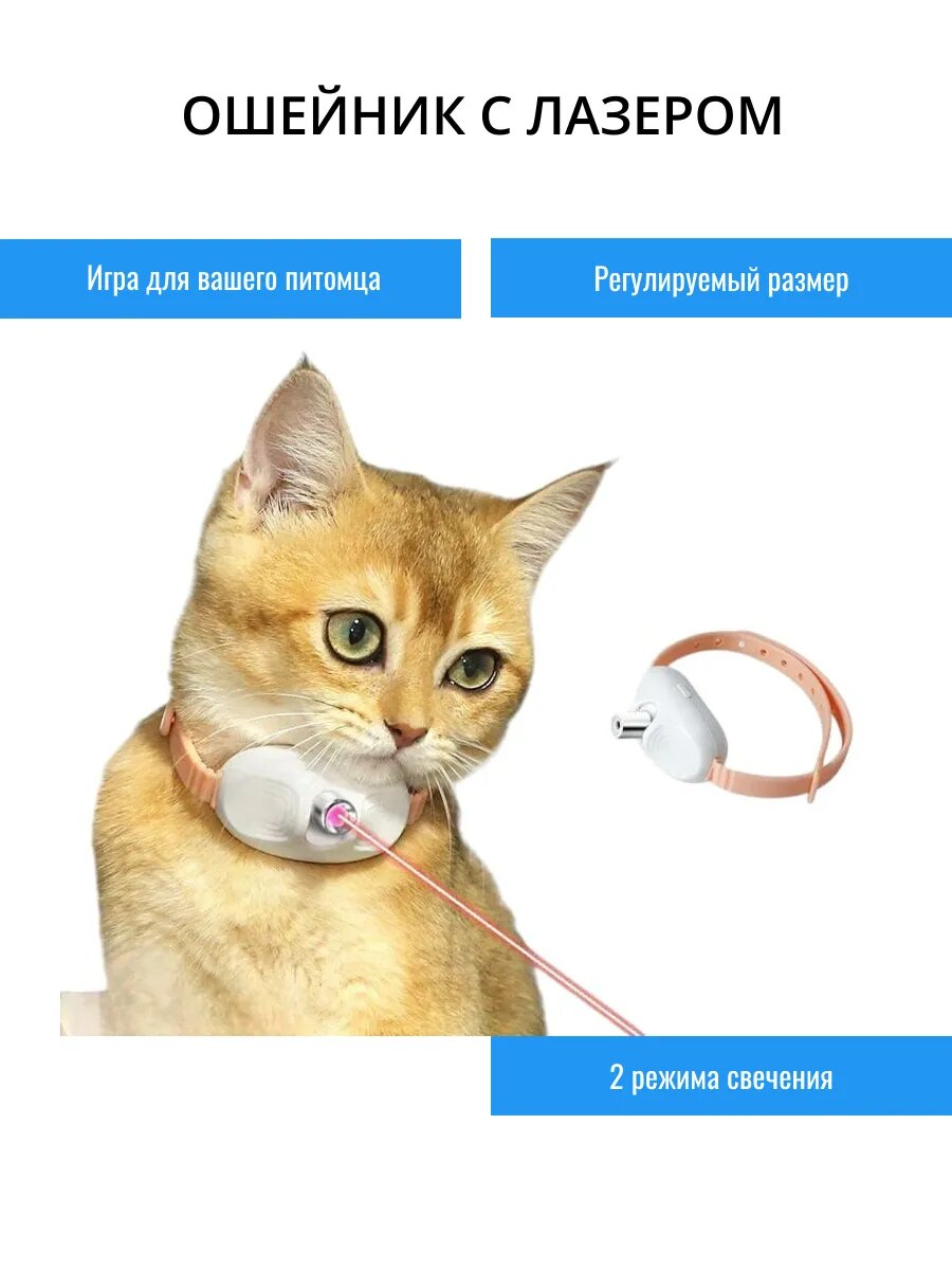 Лазерный ошейник для кошек