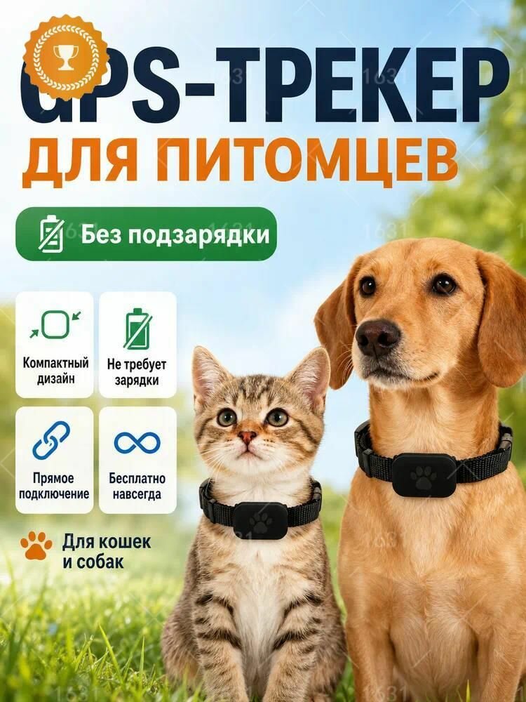 GM Ошейник-локатор для кошек и собак, трекер для питомца
