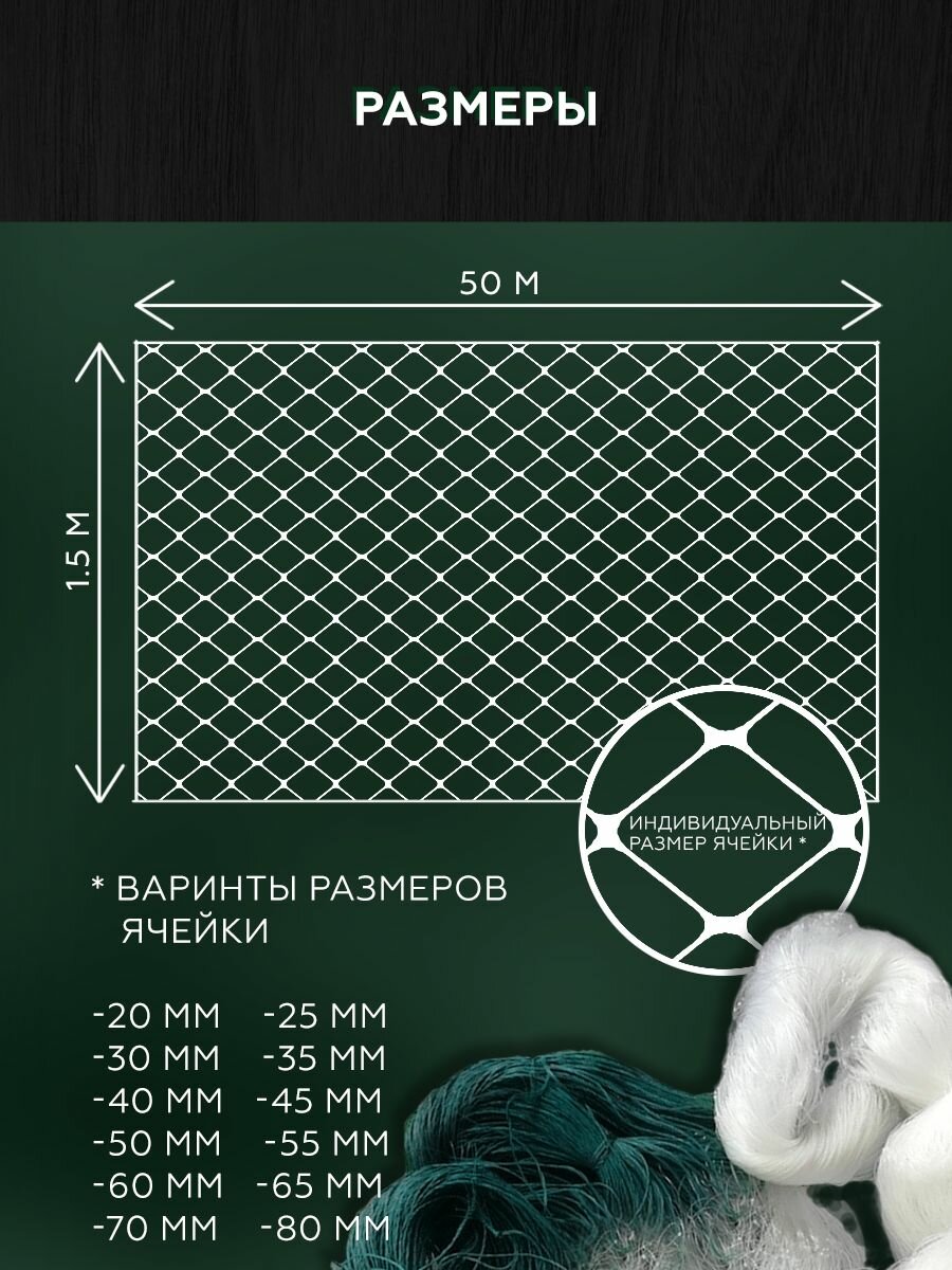 Сетка строительная — фото 1