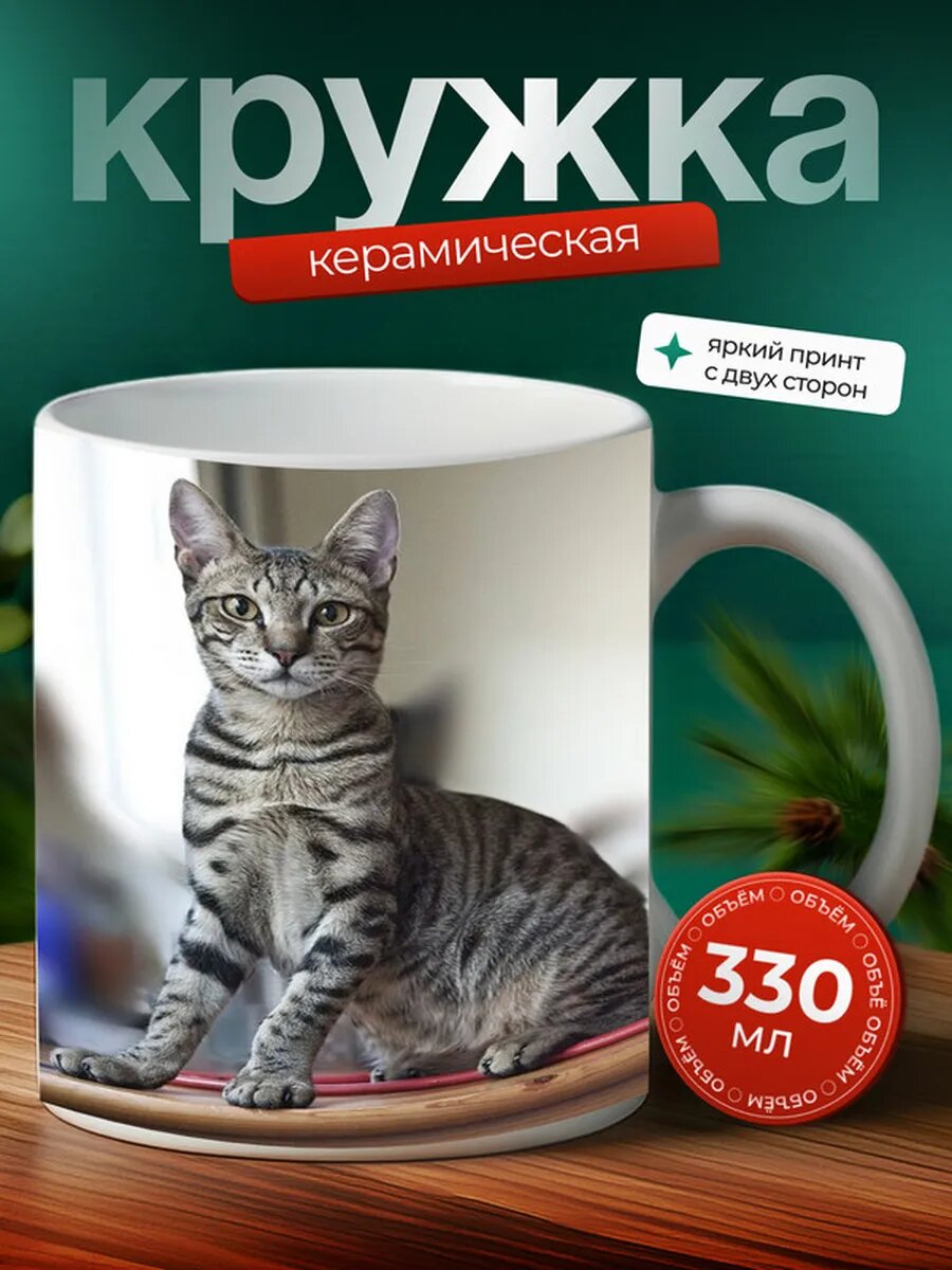 Кружка Мадейрский атлантик кот 4,