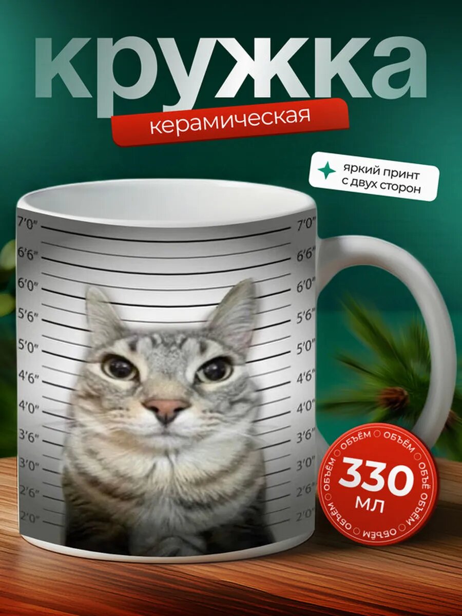 Кружка Эстетик кот 21,