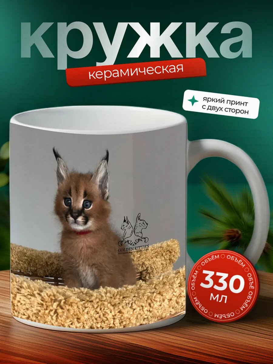 Кружка Карибский коралловый кот 6,