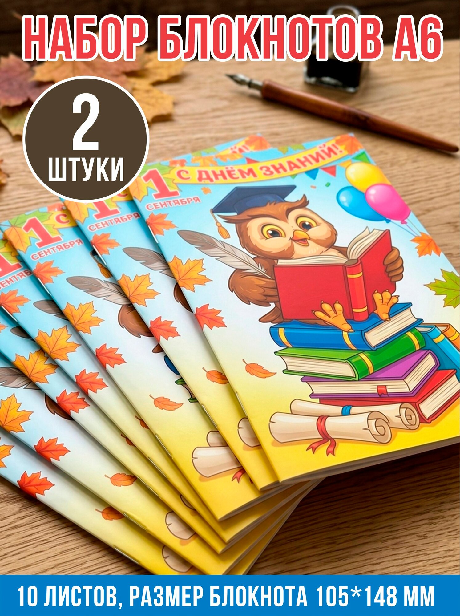 Набор блокнотов для школьников на 1 сентября А6 2 шт