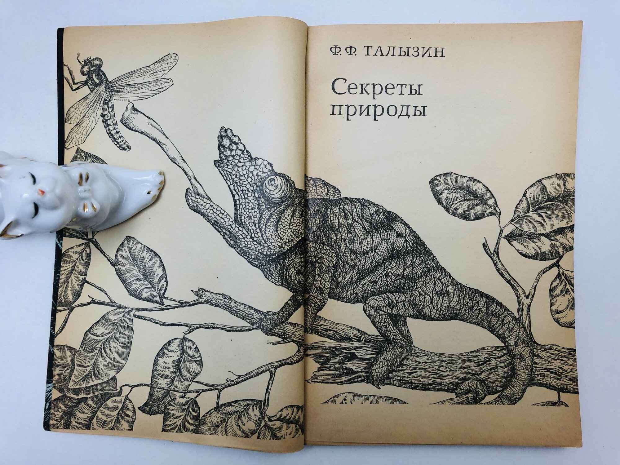 Секреты природы — фото 1