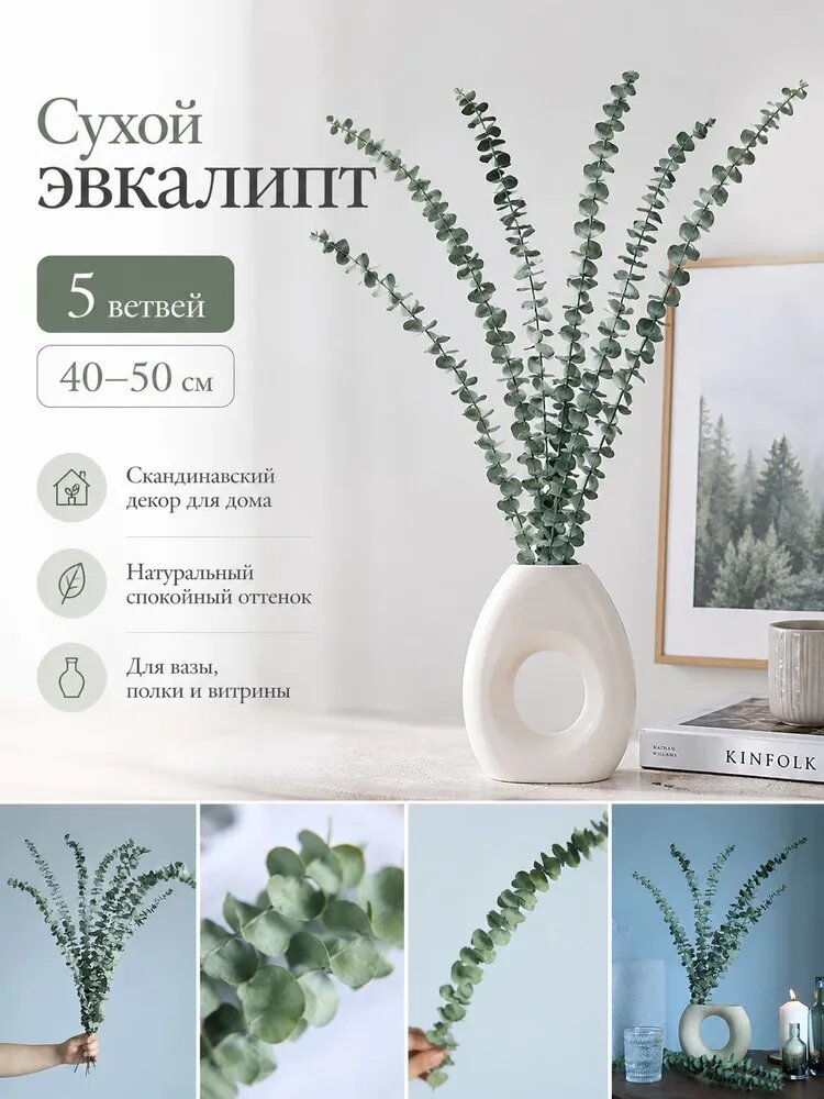 Сухоцветы Эвкалипт, 50 см, 150 гр