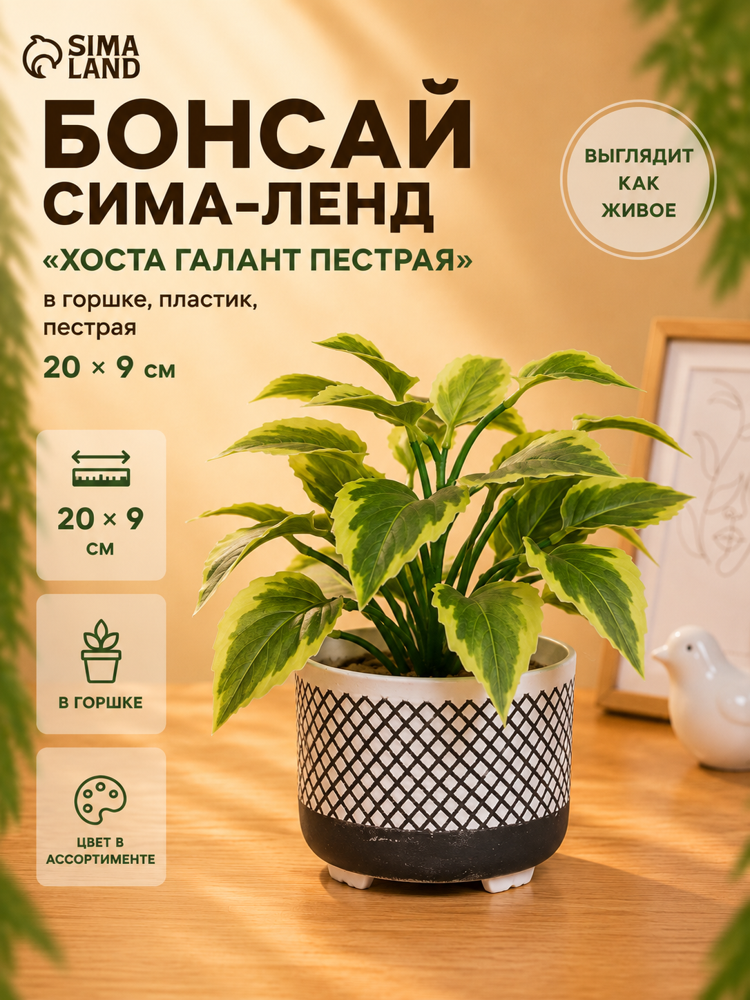 Бонсай Сима-ленд «Хоста галант пестрая», в горшке, пластик, 20x9 см