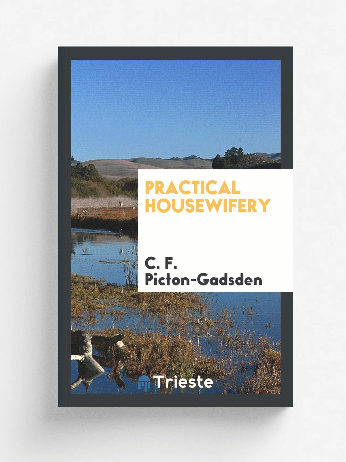 Practical Housewifery