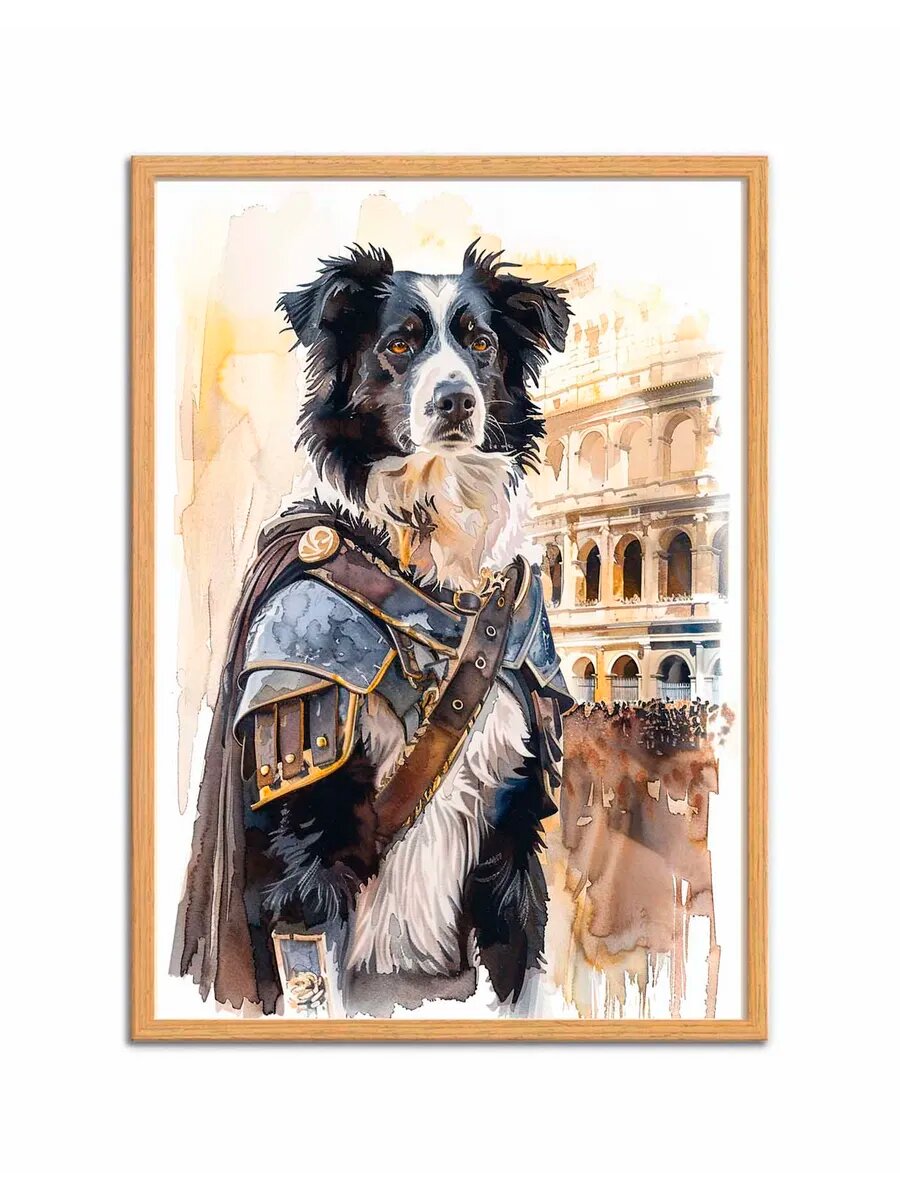 Бордер-колли Гладиатор 5, Плакат 30x42см