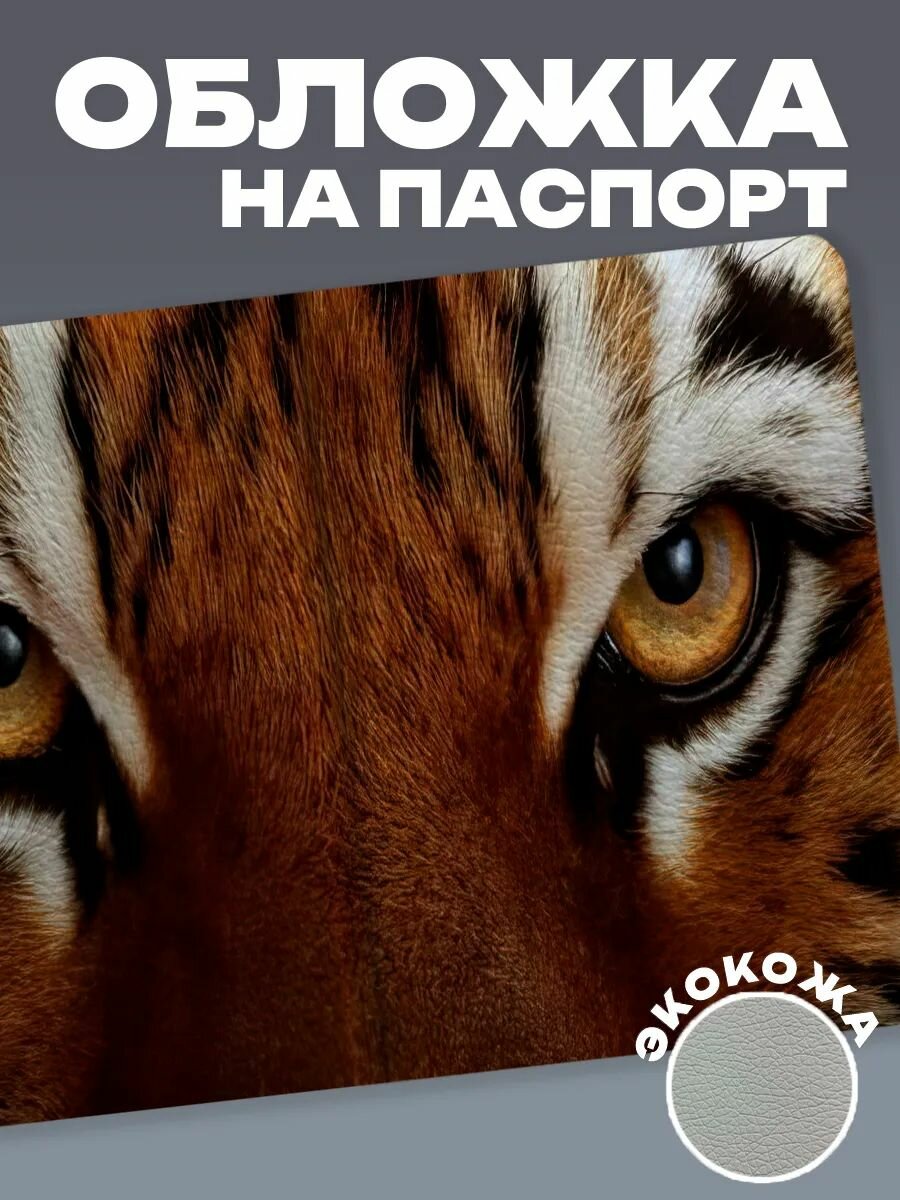 Обложка для паспорта