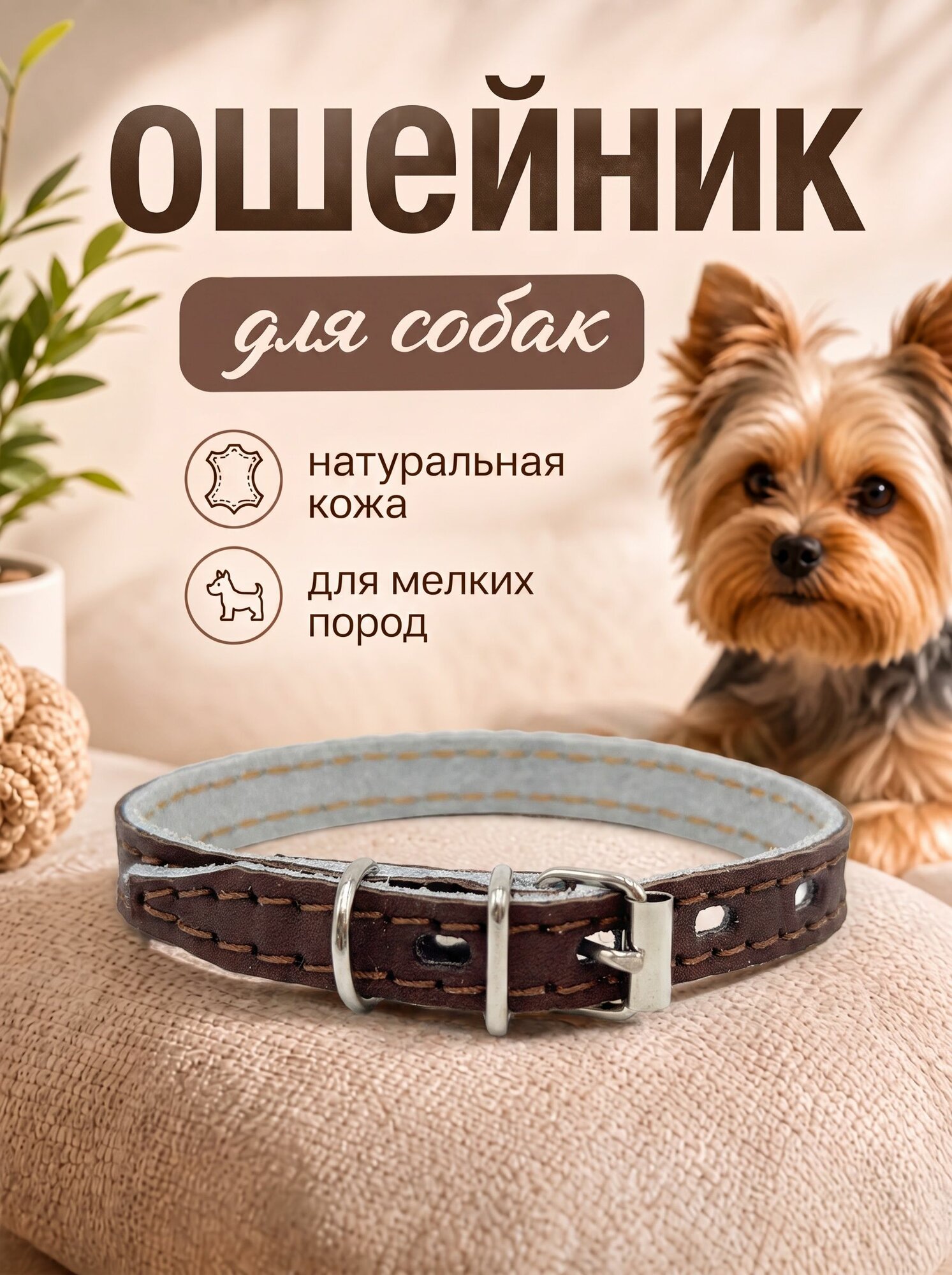 Ошейник для кошек и собак мелких пород