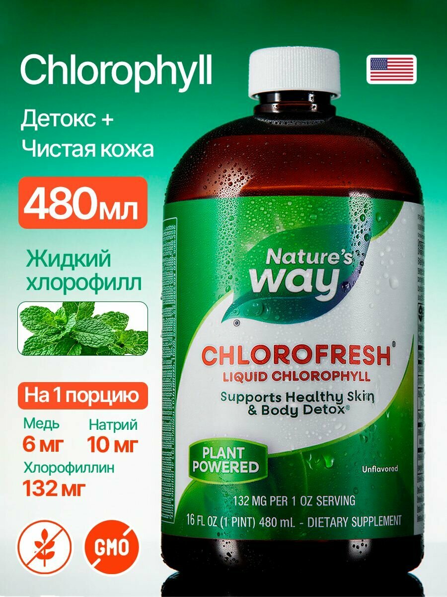 Жидкий хлорофилл Chlorofresh, с ароматом мяты, 473,2 мл.