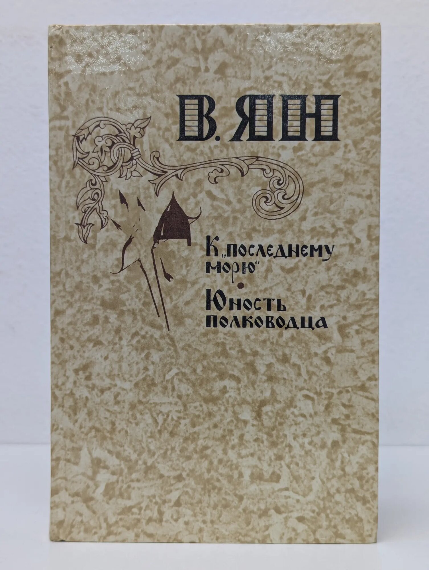 К "последнему морю". Юность полководца Василий Ян Григорьевич 1981