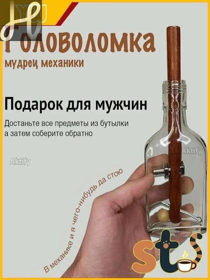 Металлическая головоломка Мудрец механики