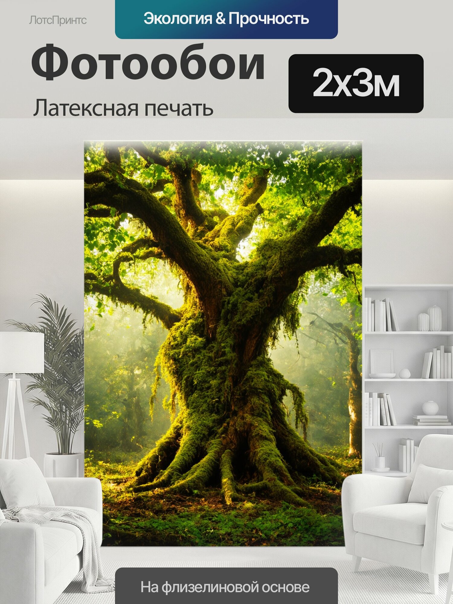 Фотообои моющиеся ударопрочные "Летом в таинственном лесу, где свет пробивается сквозь плотную листву, стоит огромное старое дерево с изогнутым." 200x300 см. латексная печать