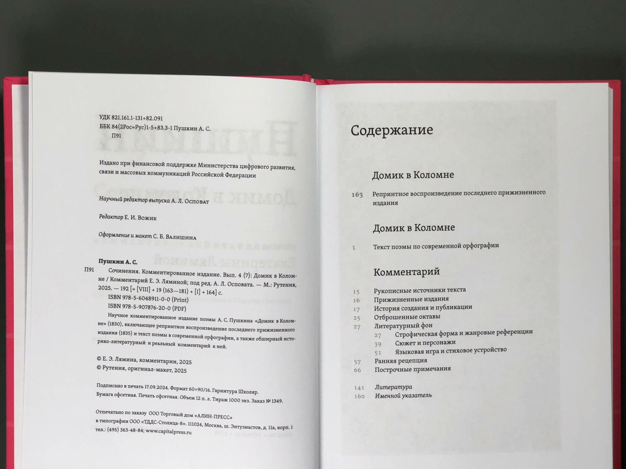 Домик в Коломне — фото 1