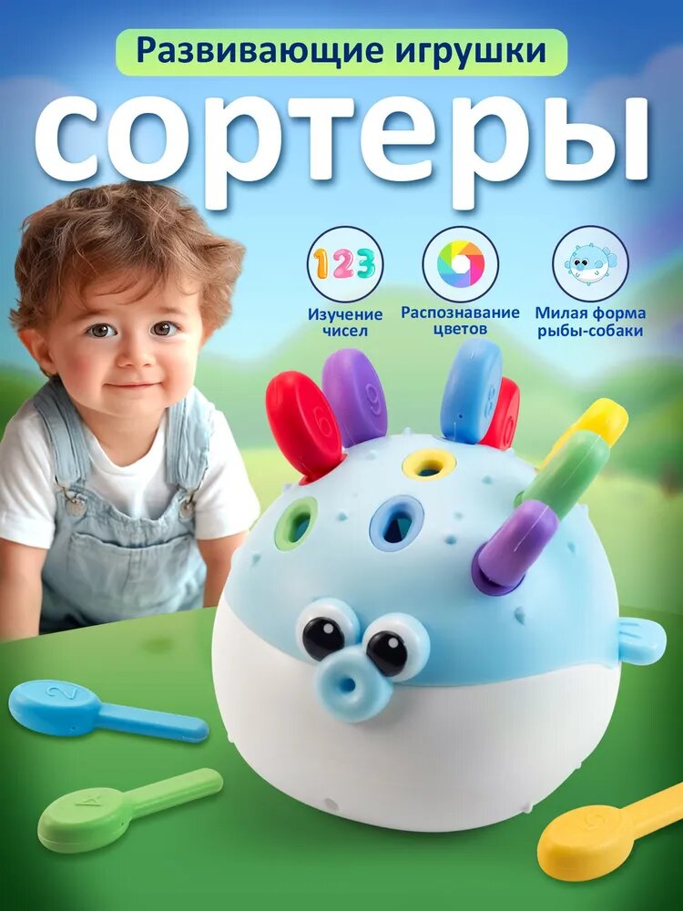Сортер