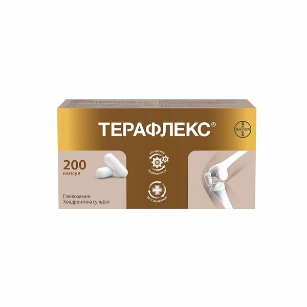 Терафлекс капсулы 500мг+400мг 200шт