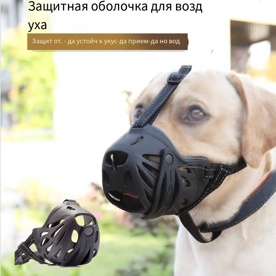 Намордник