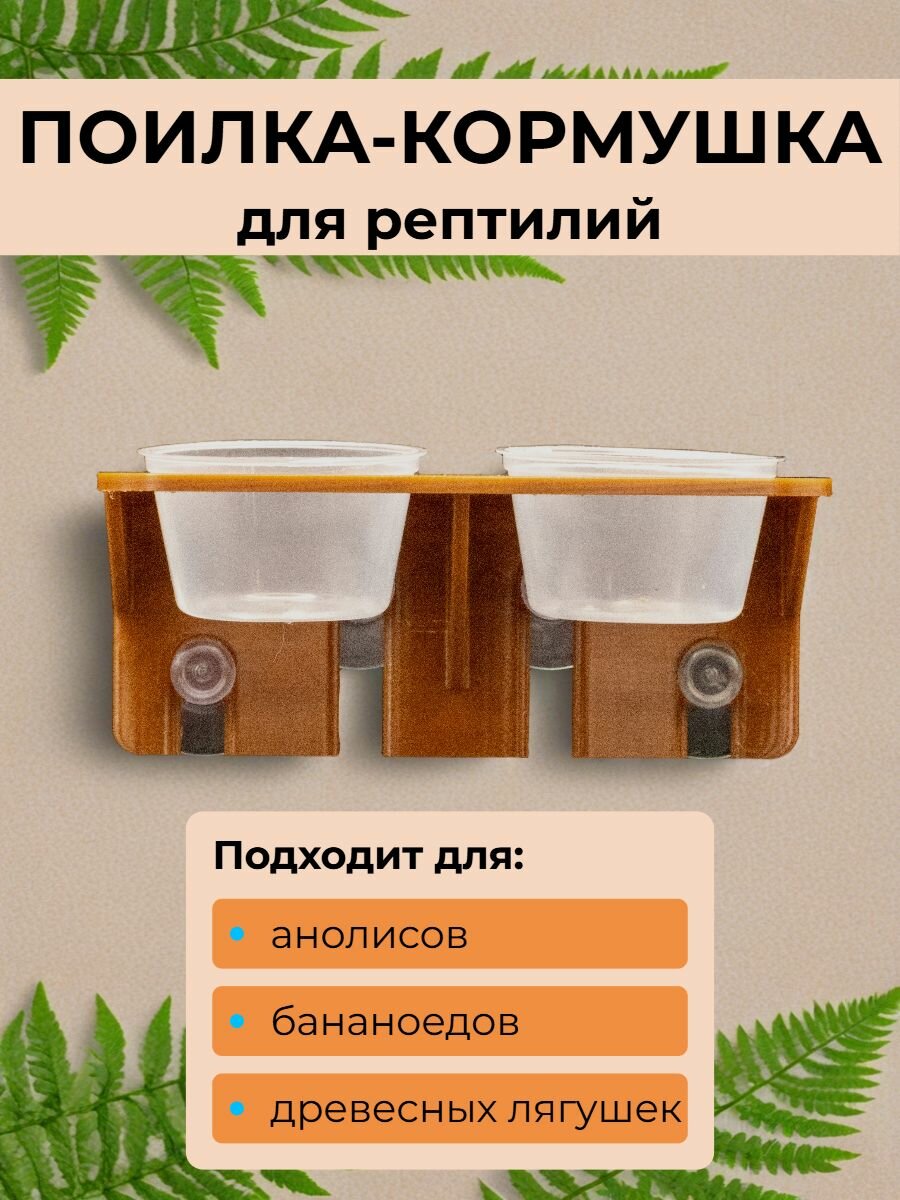 Поилка кормушка для террариума на присосках для гекконов