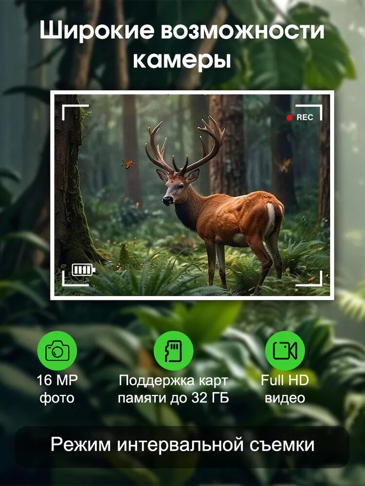 Фотоловушка с картой памяти 32GB Wild Hunt DL001 Pro — фото 1