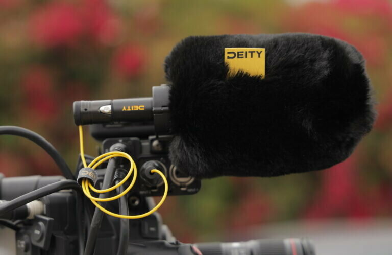 Микрофон Deity S-Mic 3S — фото 1