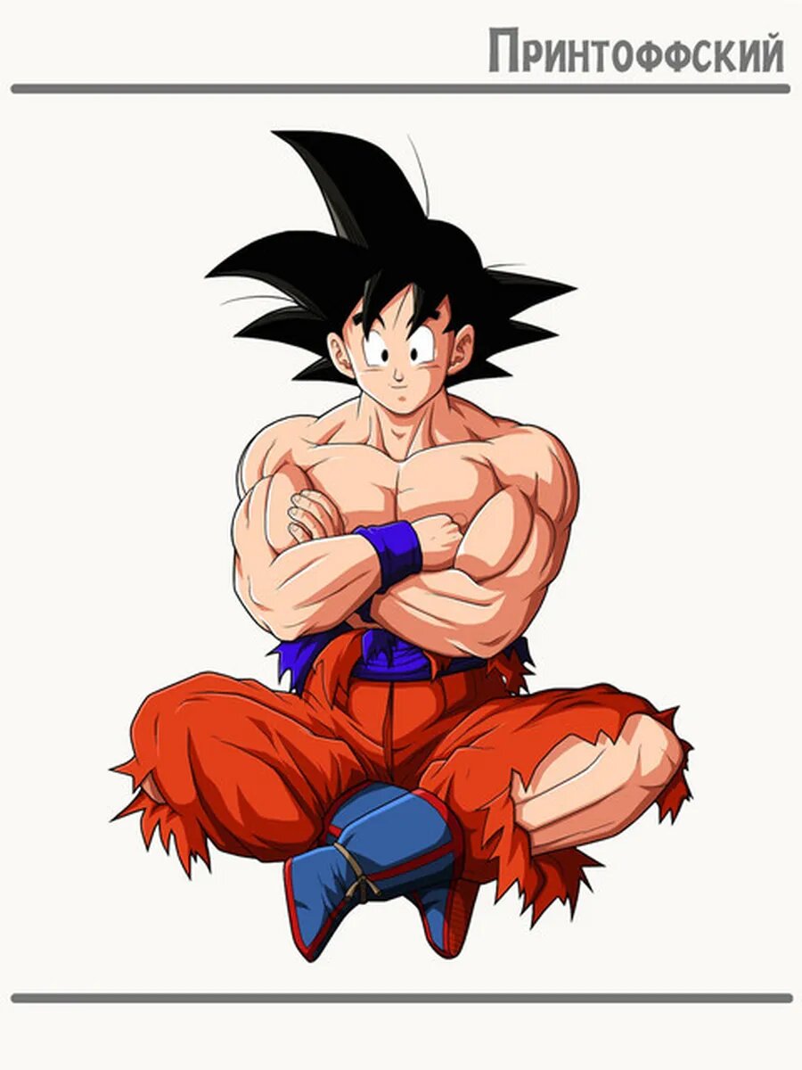 Термонаклейка для одежды и аксессуаров DTF-печать аниме драгонбалл dragonball гоку