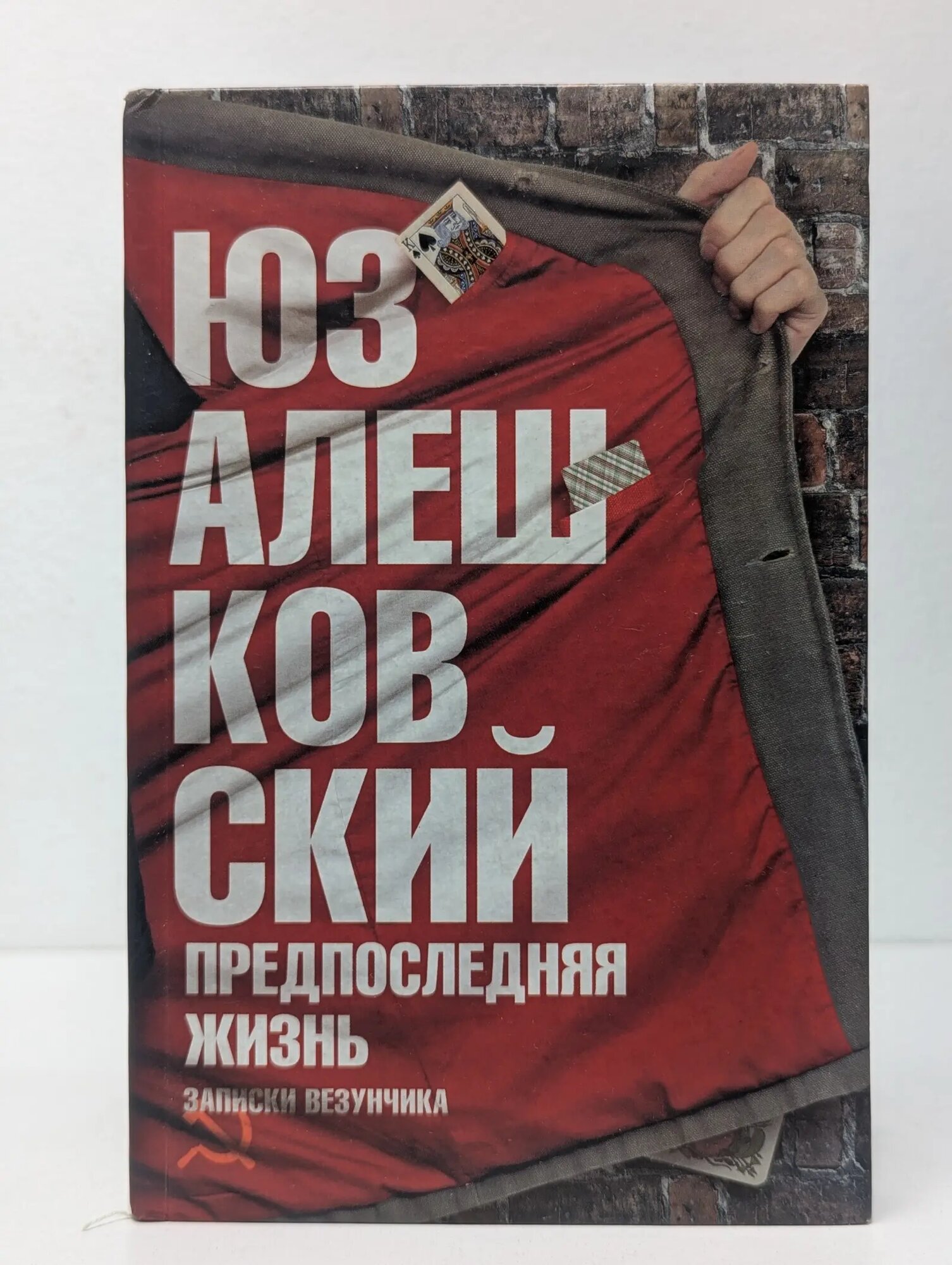 Предпоследняя жизнь. Записки везунчика Алешковский Юз 2009