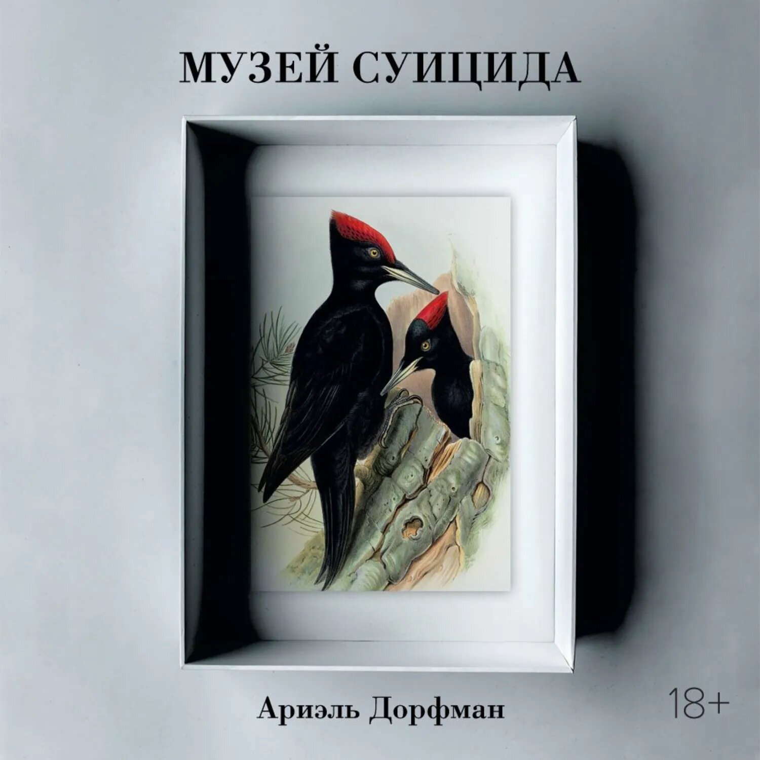 Музей суицида [Аудиокнига]