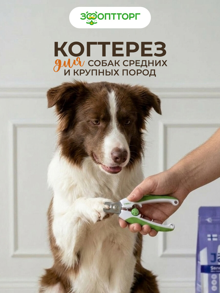 Когтерезка Triol "Премиум", для собак, M, металл, резина, белая/зелёная