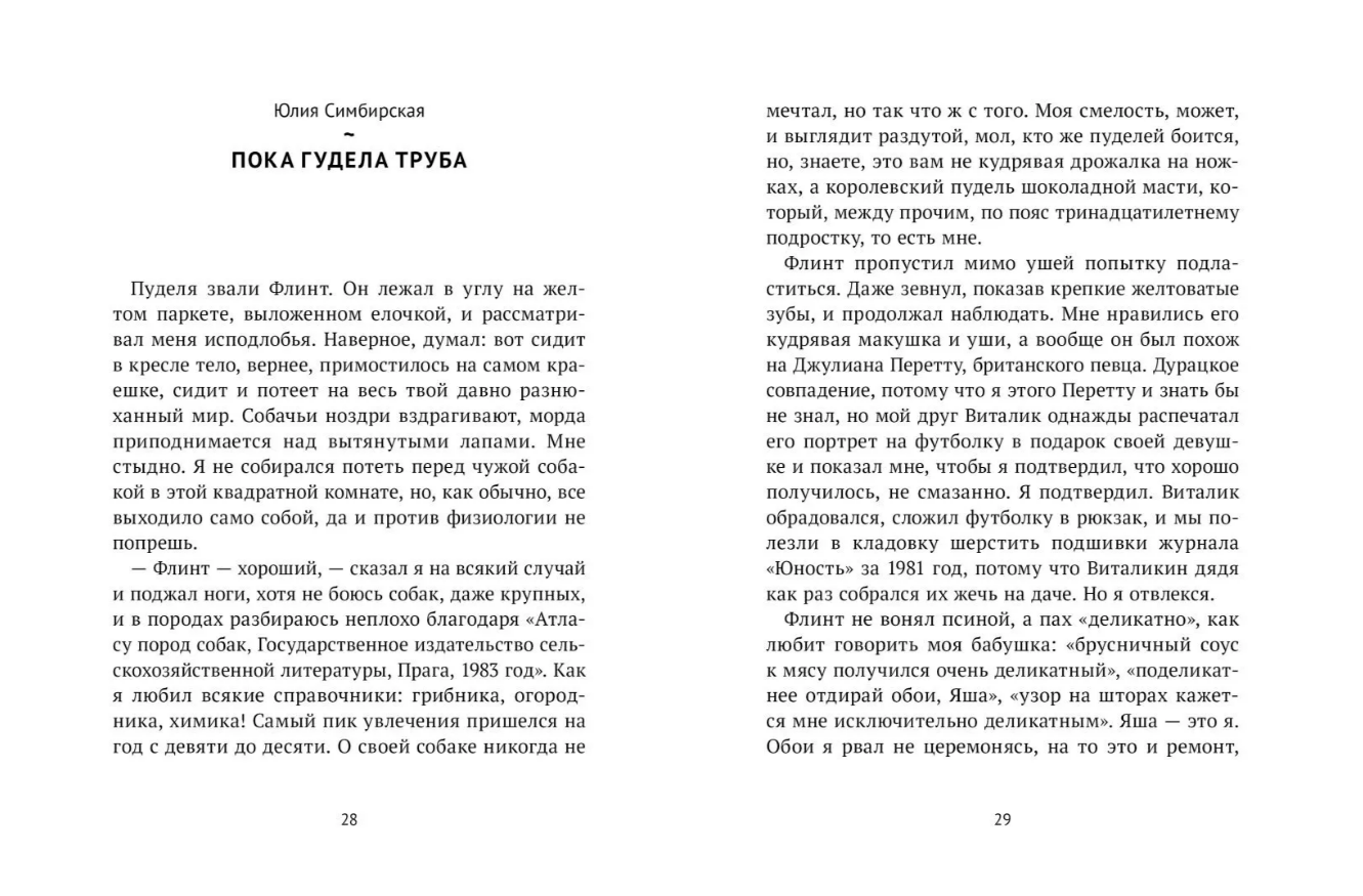 Книга Волчок "Рассказы Волчка. Под ярким солнцем", современная проза, 11 лет, 146 г — фото 1