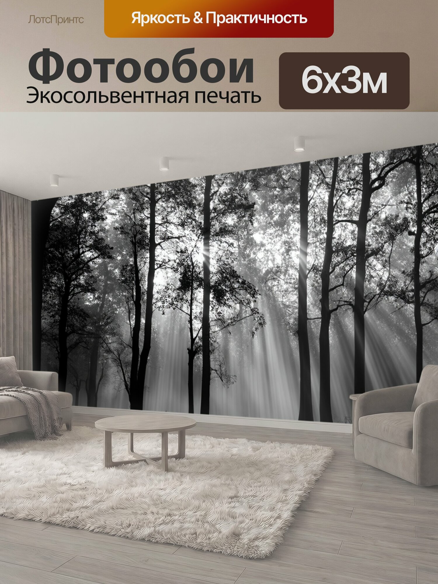 Фотообои "Черно-белый, на которых изображён утренний лес, окутанный легким туманом. солнечные лучи пробиваются через деревья, создавая." 600x300 см. экосольвентная печать