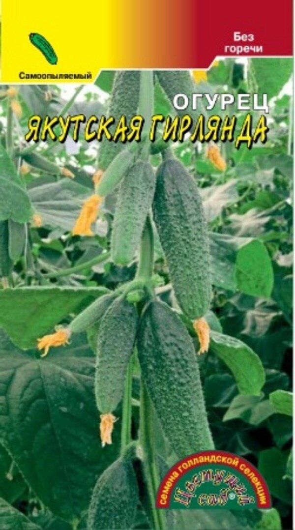 Семена огурца Цветущий сад Якутская гирлянда, самоопыляемый гибрид, пучковое заложение завязей, 0,3 г