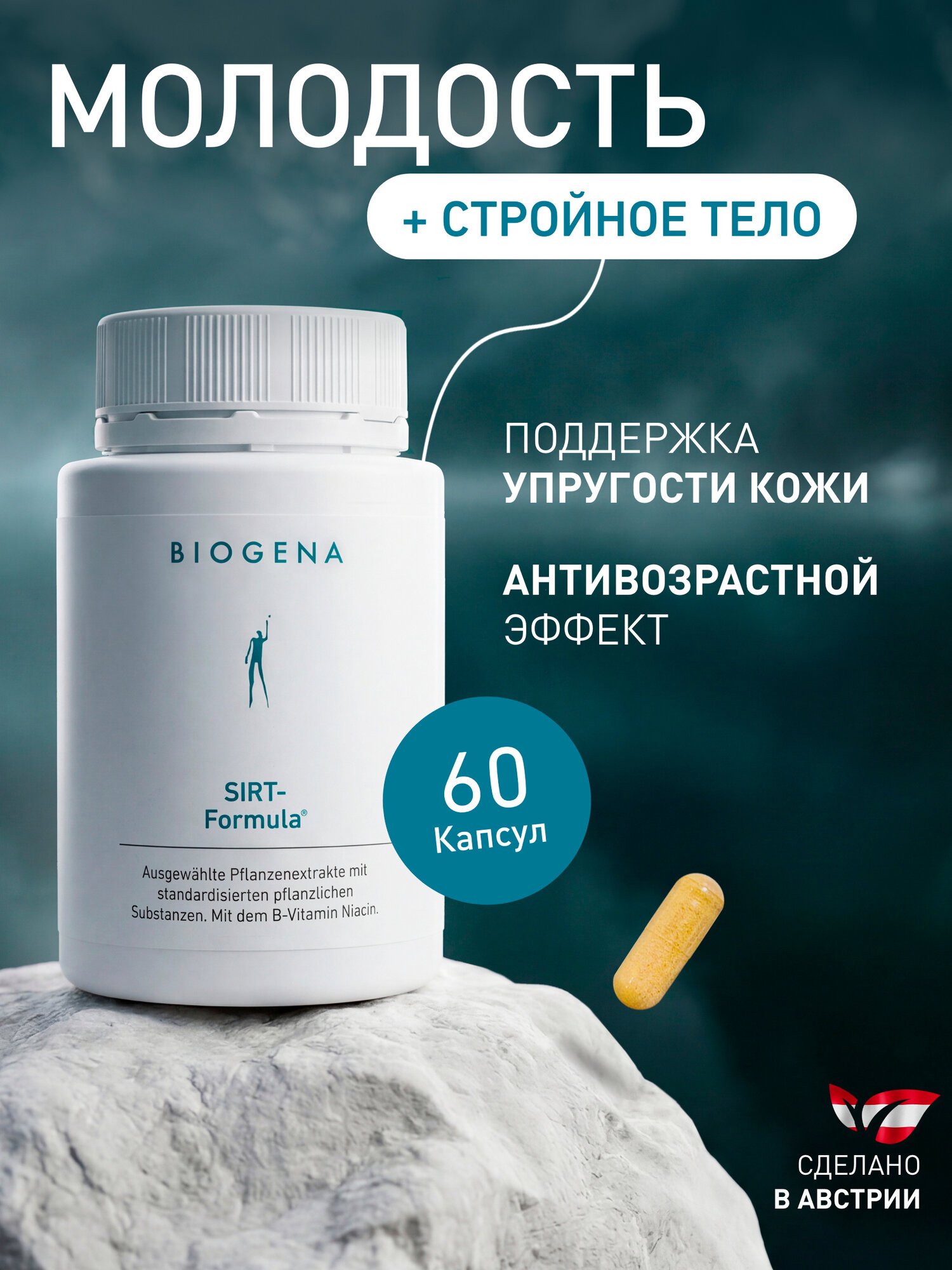 Biogena, транс ресвератрол, кверцетин и ниацин, антиоксидантное средство, сирт-формула 60 штук