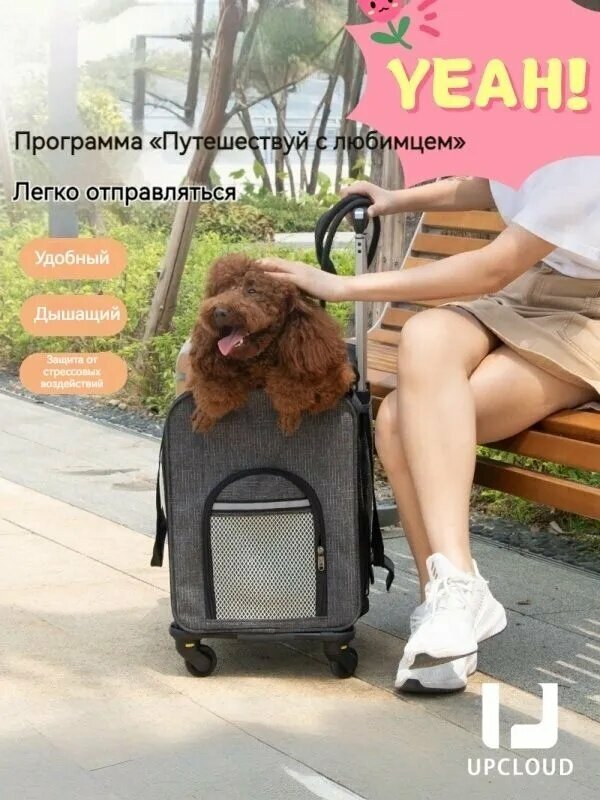 Сумка