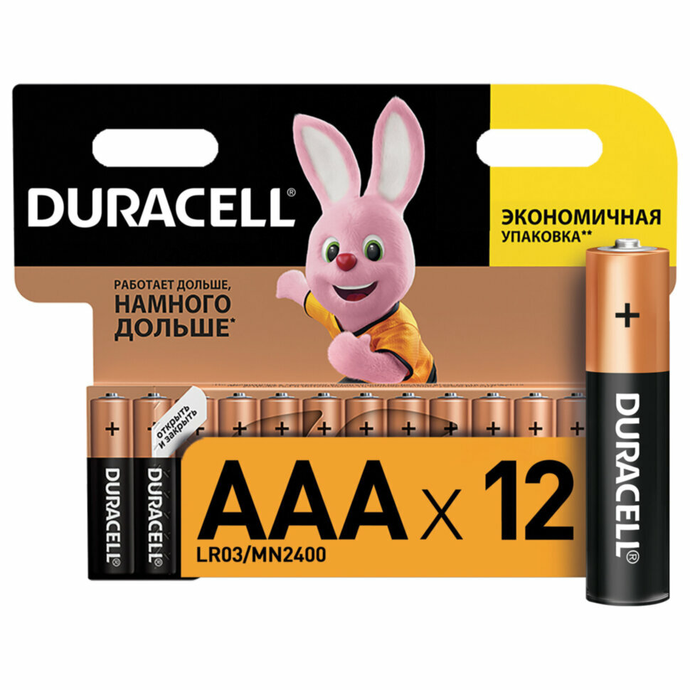 Батарейки комплект 12 шт, DURACELL Basic оригинал, AAA (LR03, 24А), алкалиновые, мизинчиковые, 451362