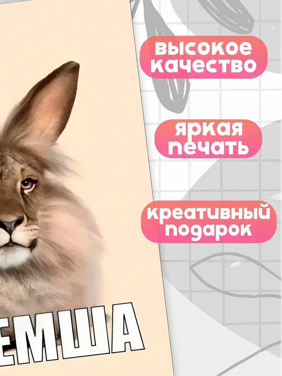 Постеры на стену Черемша мем , плакат 1шт, А2 размер. — фото 1