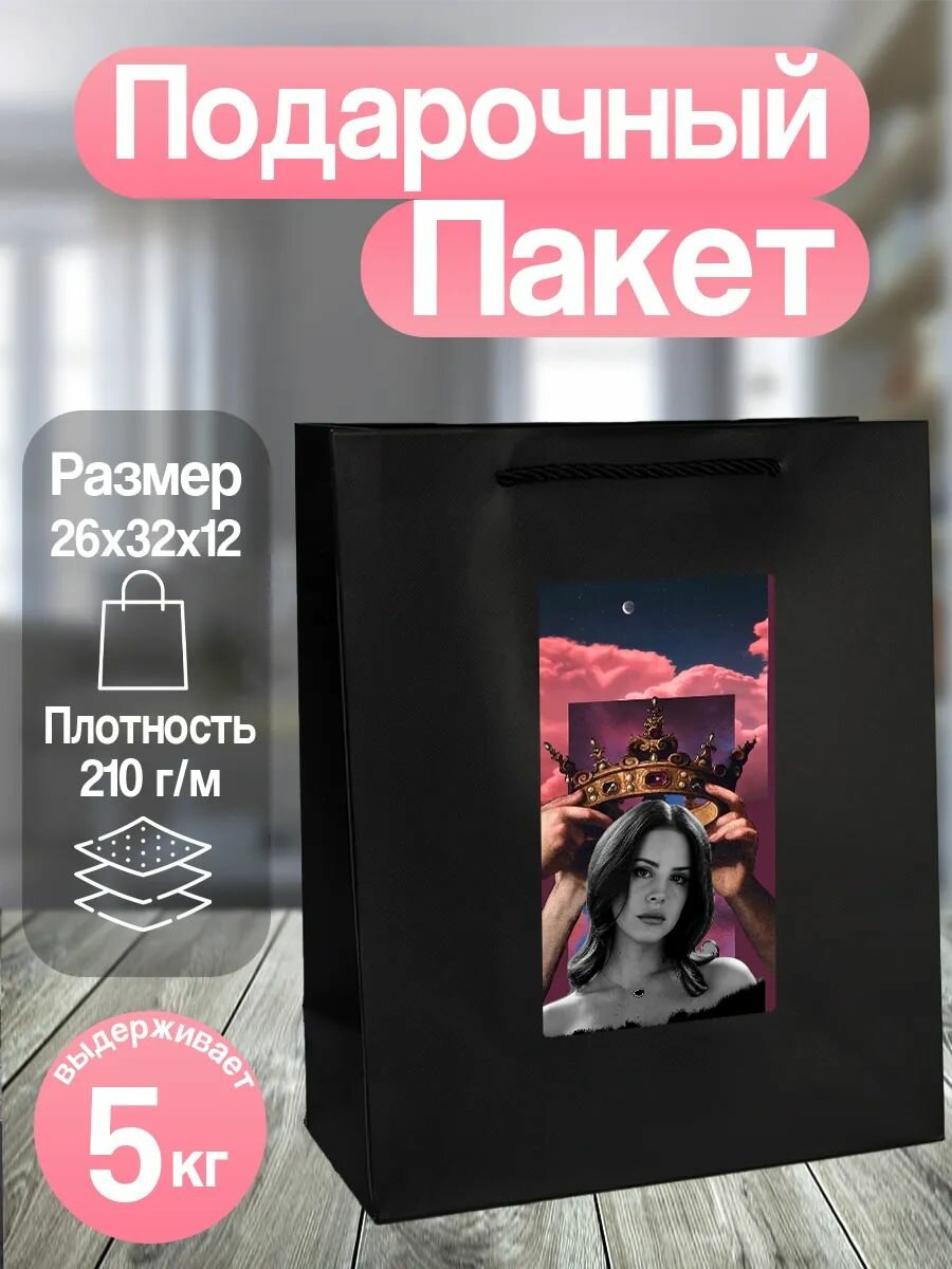 Пакет подарочный Лана Дель Рей, упаковка для подарка, 26х31 см